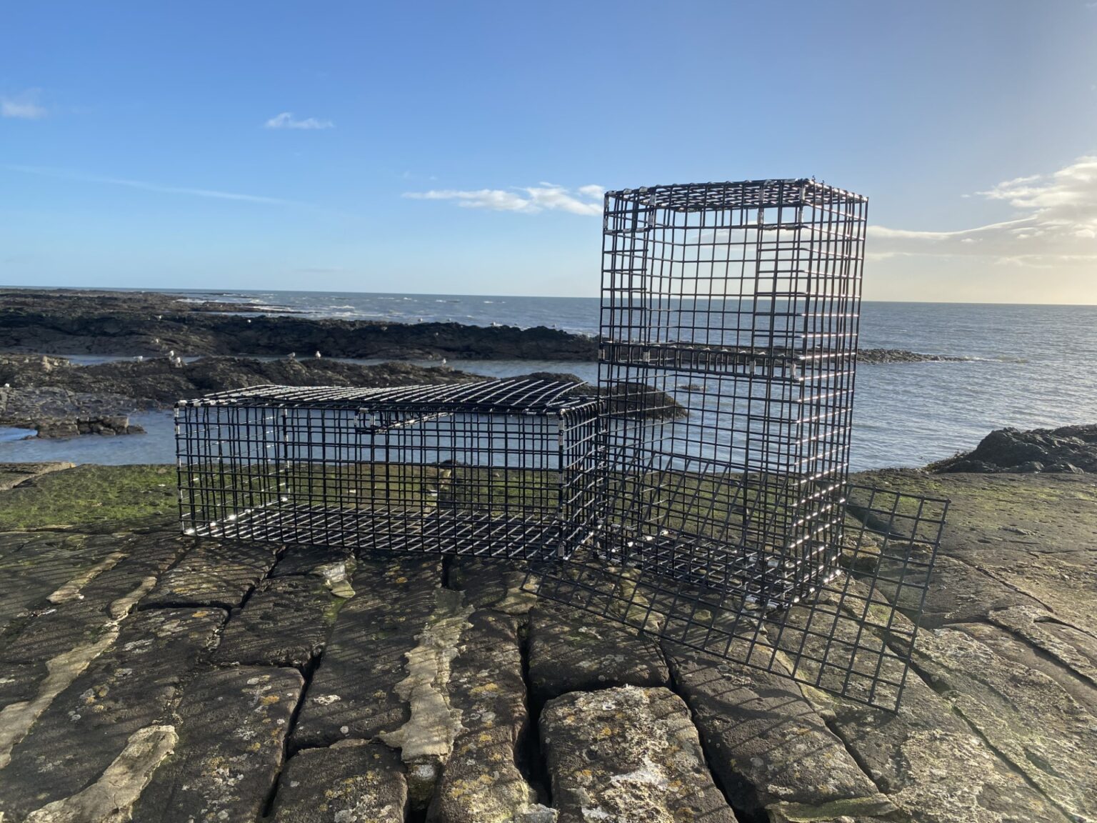 Creel/Trap/Pot Accessories - Blue Lobster Fishing